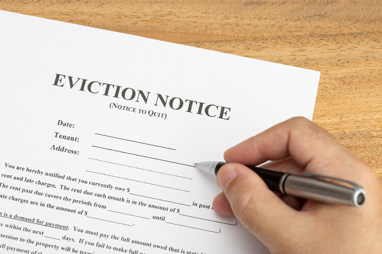 How To Safely And Effectively Get Rid Of Squatters
